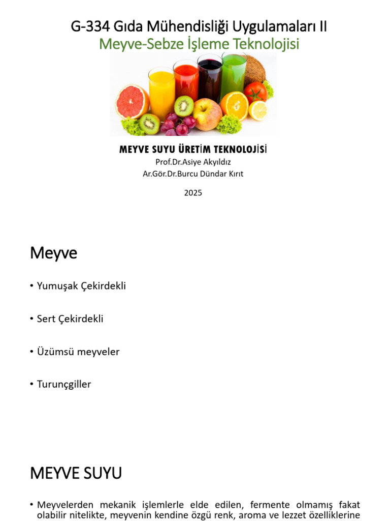 Staj 2-Meyve Suyu Üretim Teknolojisi | PDF