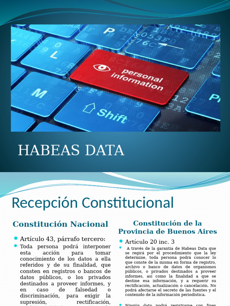 Habeas Data | PDF | Habeas corpus | Justicia