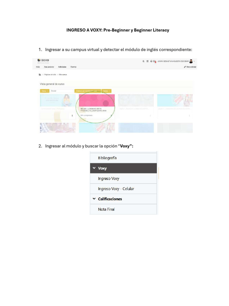 INGRESO VOXY - Pre Beginner Literacy - Beginner Literacy - Compressed | PDF
