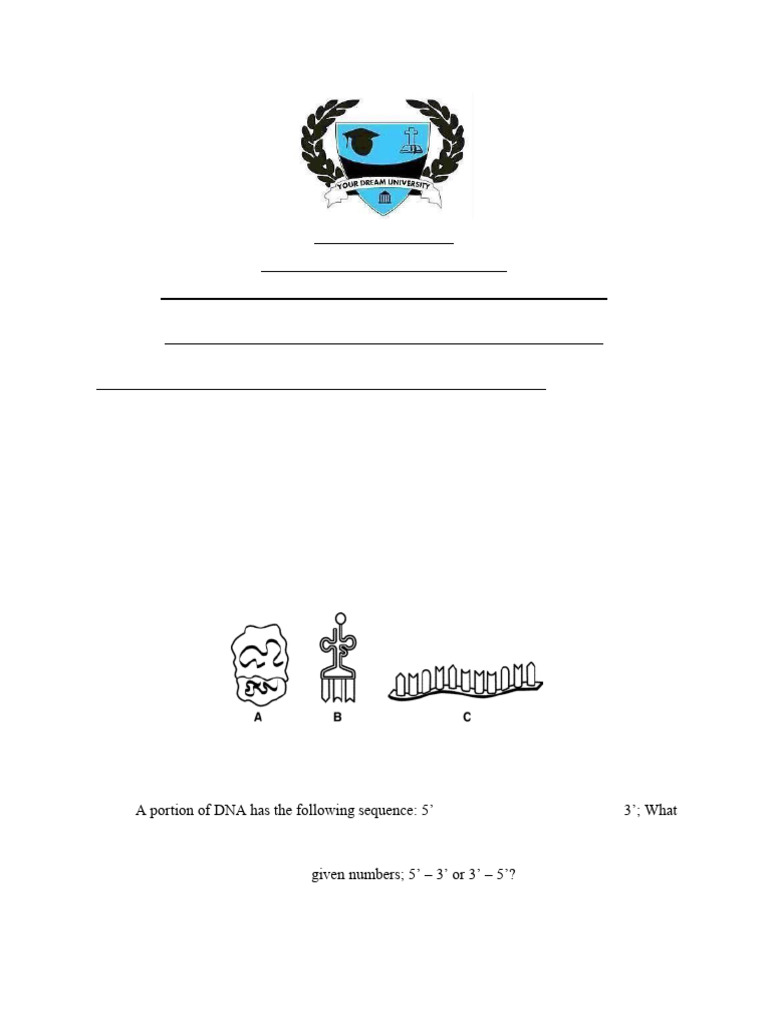 Tutorial Sheet 6. DNA Replication and Protein Synthesis Upd - 014202 | PDF