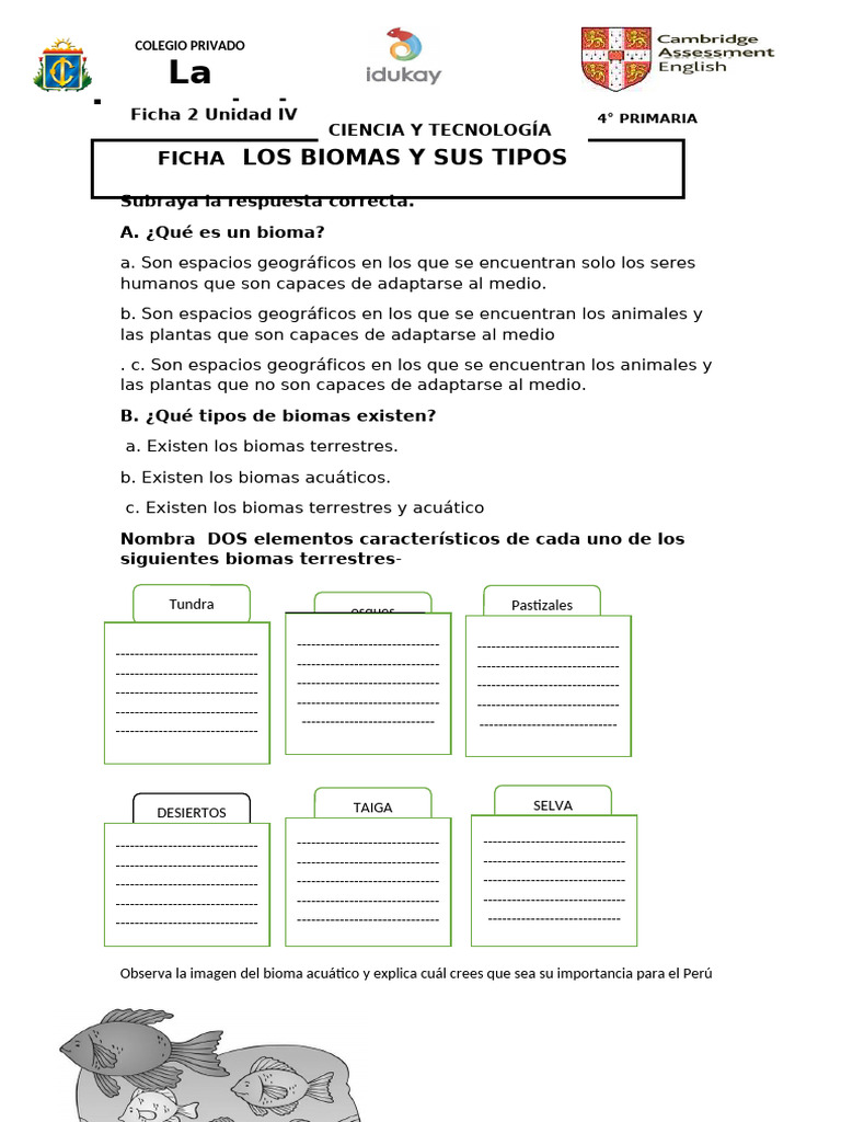 Ficha 2 Unidad Iv Ciencia - Biomas | PDF | Ecosistema | Perú