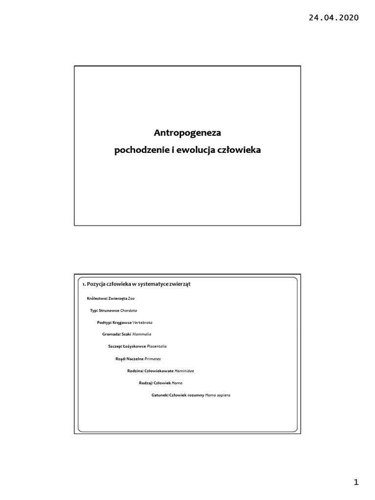 Antropogeneza | PDF