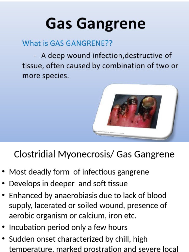 VND Openxmlformats-Officedocument Presentationml Presentation&rendition 1-9 | PDF