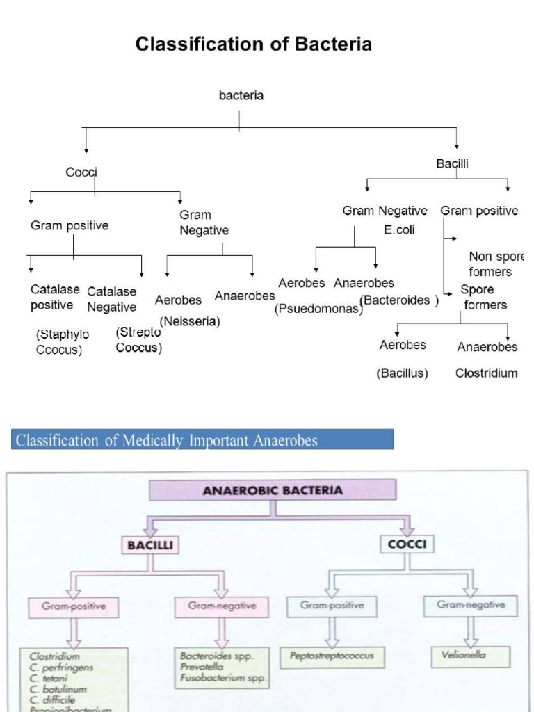 vnd.openxmlformats-officedocument.presentationml.presentation&rendition ...