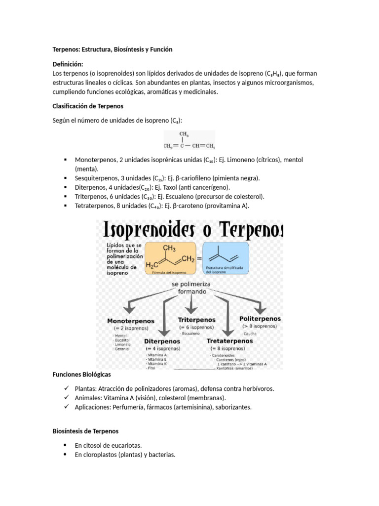 Estructura Y Función De Los Terpenos Pdf Bioquímica Química