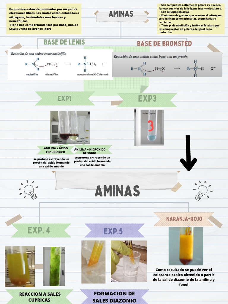 Mapa Conceptual Aminas | PDF