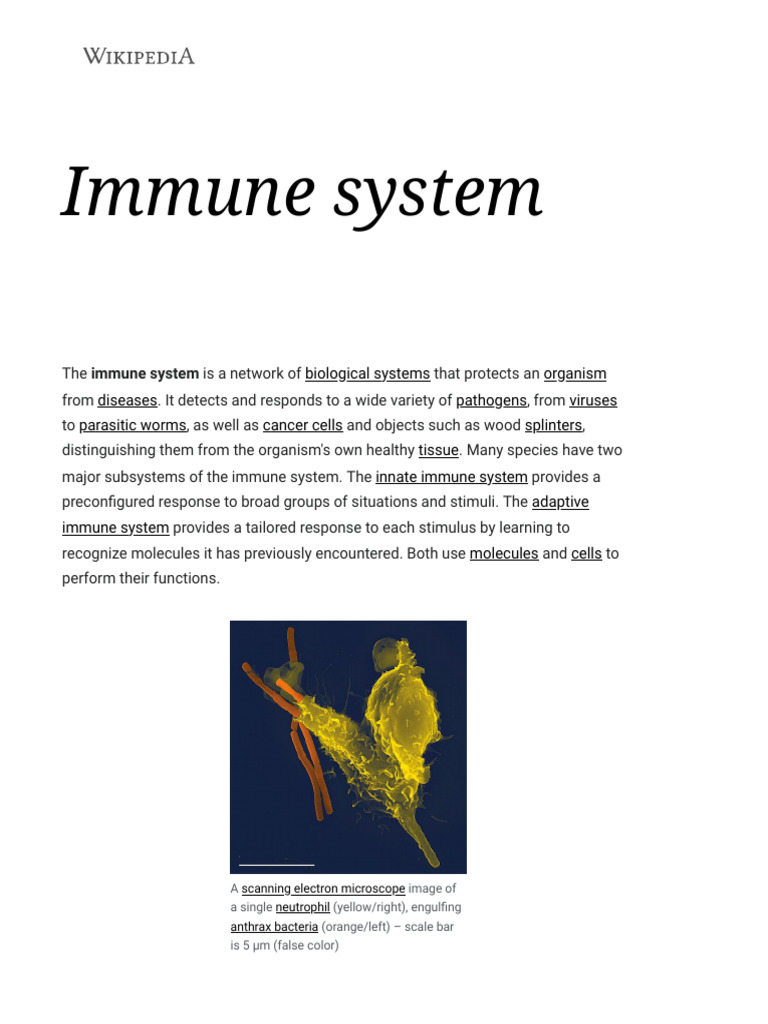 Overview of the Immune System | PDF | Immune System | T Cell