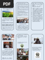 Órganos del Ejido en México: Funciones y Estructura | PDF | Gobierno