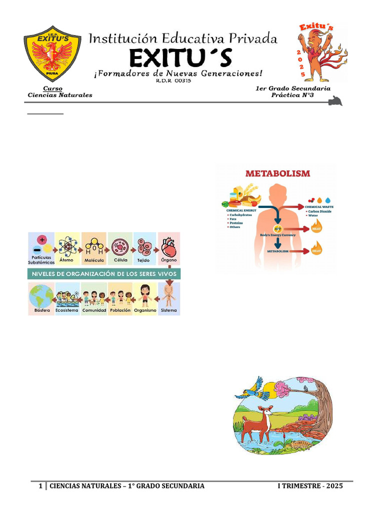 Sec25-1° CCNN.3 | PDF | Reproducción | Metabolismo