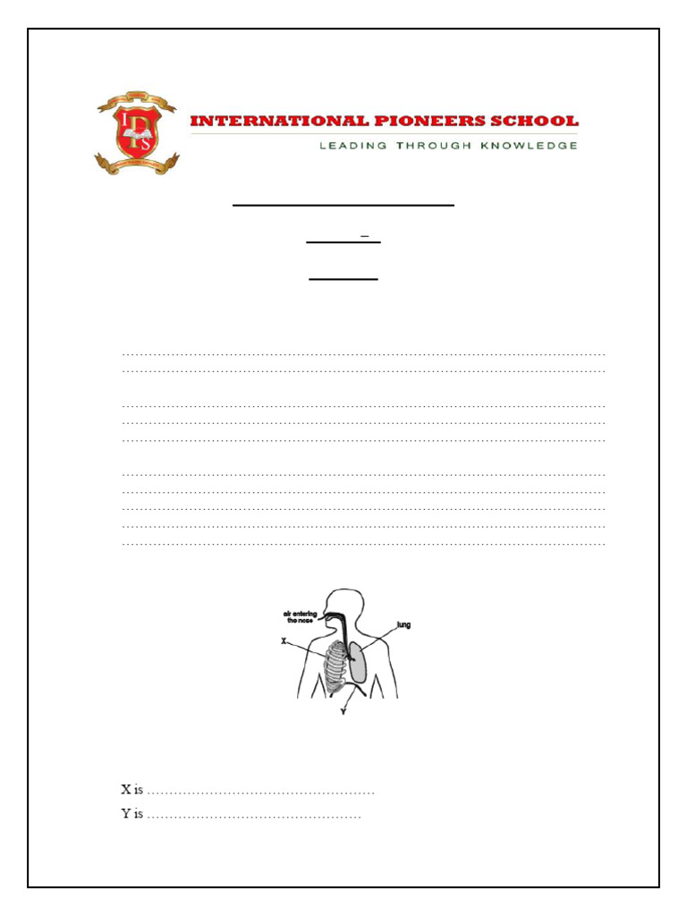 Class 7 Science: Respiratory System Review | PDF | Breathing ...