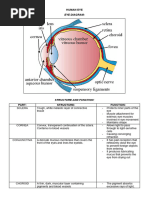 Grade 12 Life Science The Eye | PDF | Eye | Myopia