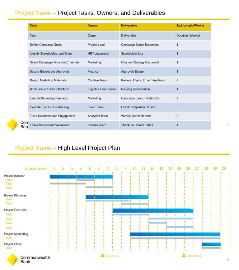 Fundraising Campaign Project Plan Template | PDF