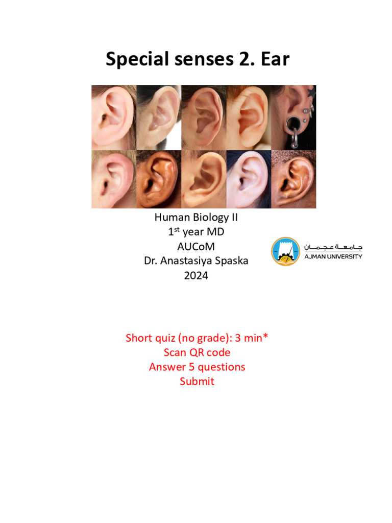 Special Senses 2. Ear | PDF | Ear | Auditory System