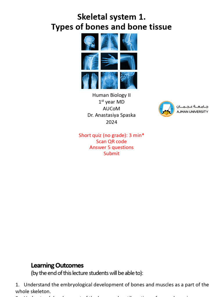 Skeletal System 1 N | PDF | Bone | Osteoblast