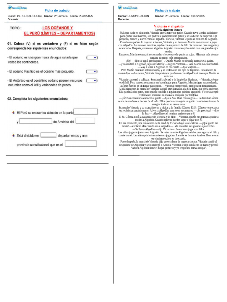 Ci Ficha PS 20 | PDF