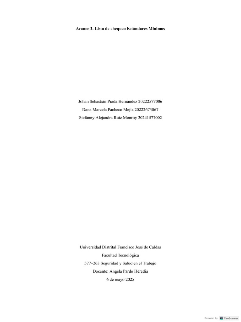 Avance 2. Lista de chequeo Estándares Mínimos grupo3 | PDF