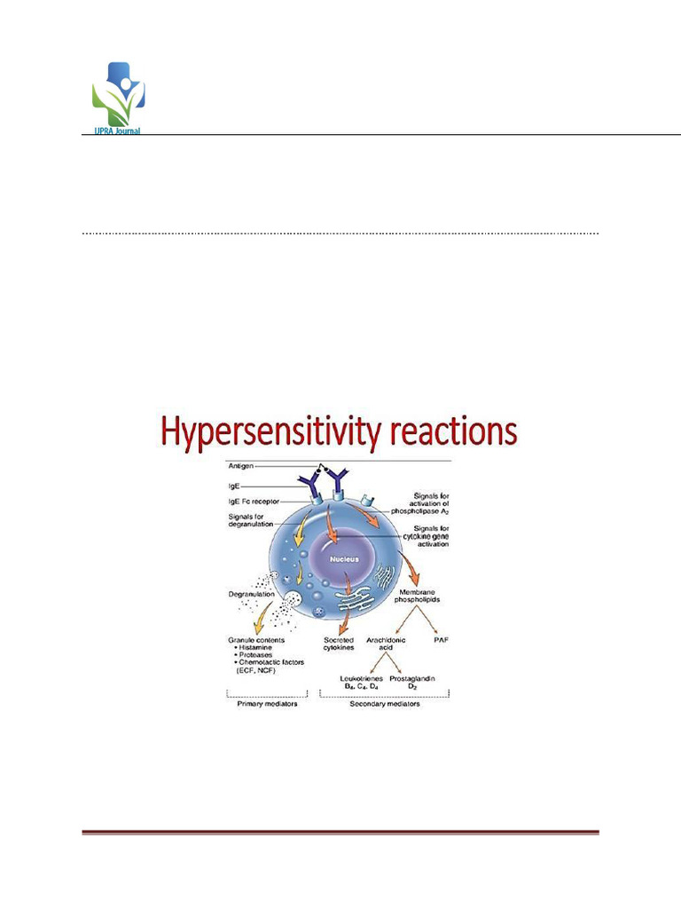 Overview of Hypersensitivity Reactions | PDF | Allergy | Antibody