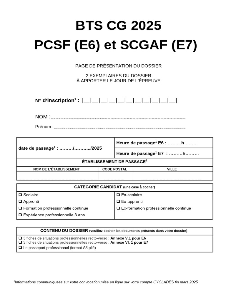 Dossier BTS CG 2025 : E6 et E7 | PDF | Qualifications | Niveaux d ...