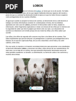 Anexo Lobos Continuemos Estudiando | PDF | Zoología