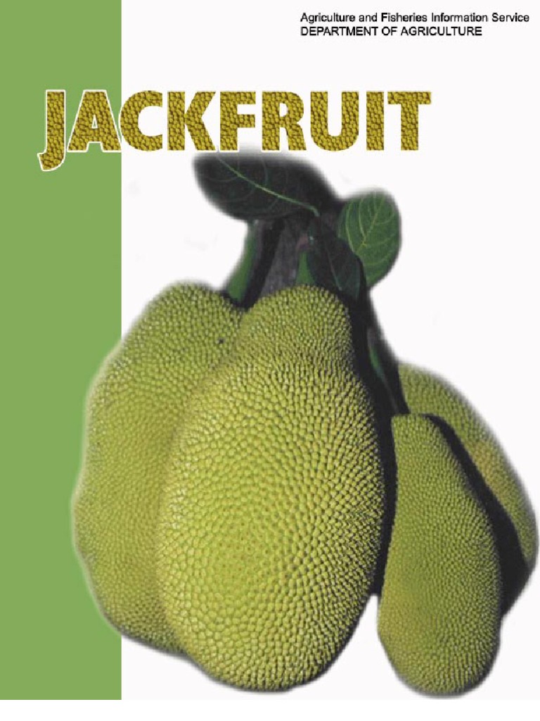The Versatile Jackfruit: A Guide to Its Cultivation, Uses, Pests, and ...