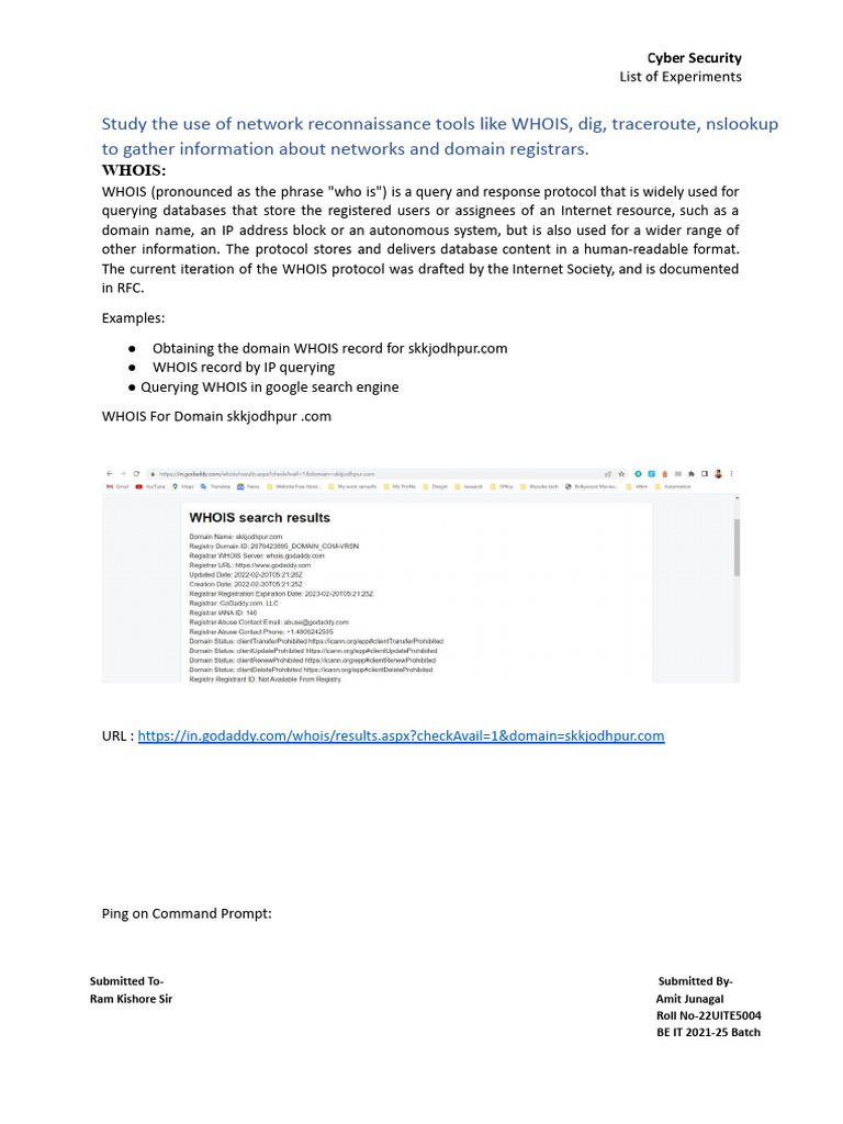 Cyber Security Assignment Updated | PDF | Domain Name System | Domain Name