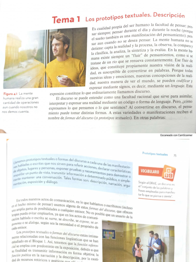 Prototipos Textuales - La Descripción | PDF