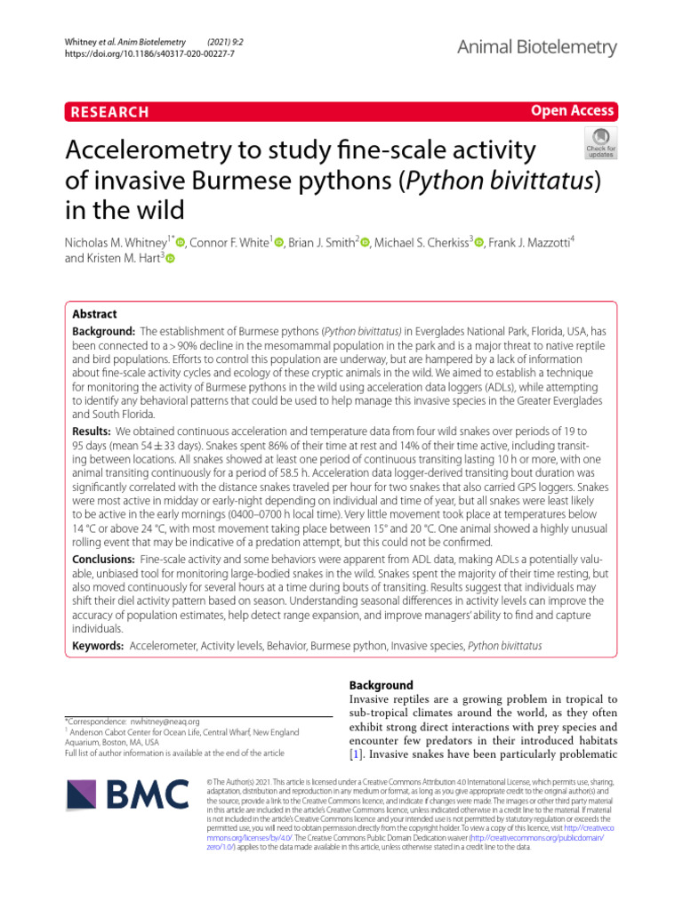 PYTHON BIVITTATUS Acelerometria Atividade Escala Fina Art | PDF | Snake