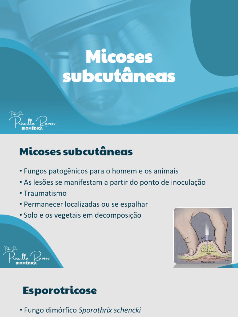 Cancro Esporotricótico: Micoses Subcutâneas | PDF | Pele | Doenças e ...