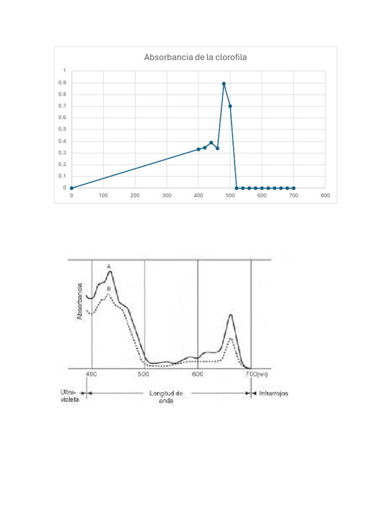 BIOCEL IMAGENES | PDF