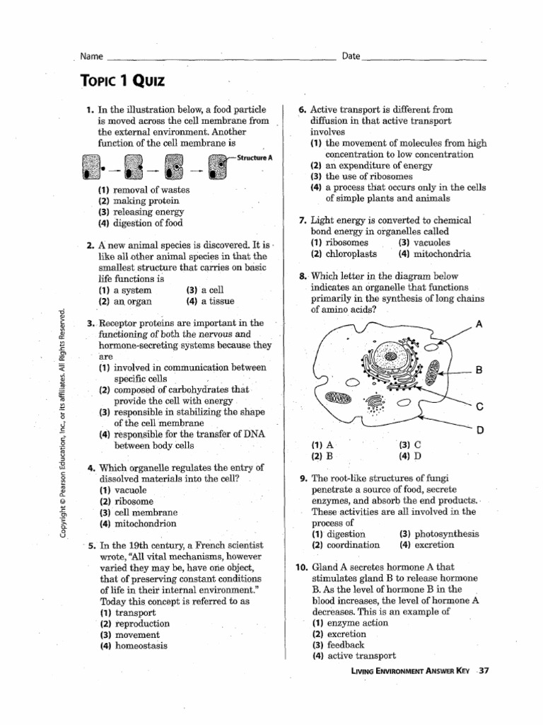(Template) Topic Review Quizzes | PDF