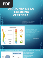 El Saco Dural Humano | PDF | Médula espinal | Anatomía