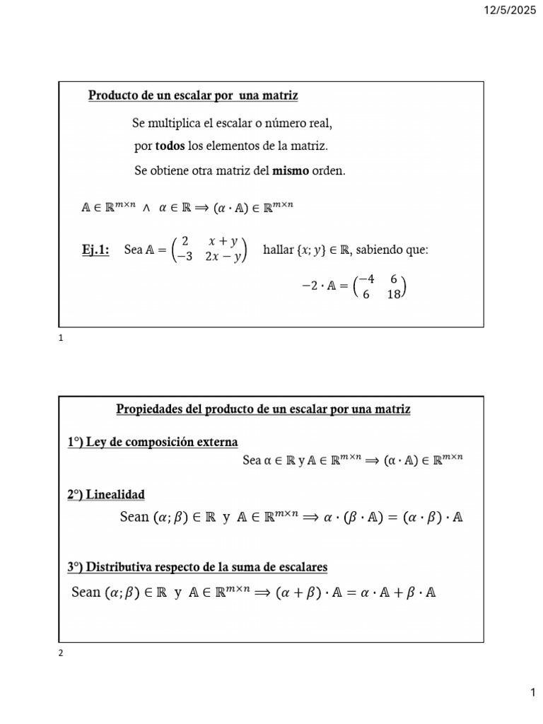 Matrices 2025. B | PDF | Matriz (Matemáticas) | Álgebra abstracta