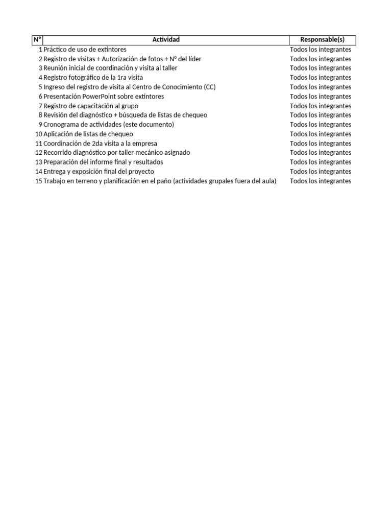 Cronograma Proyecto Visitas GERCAR | PDF