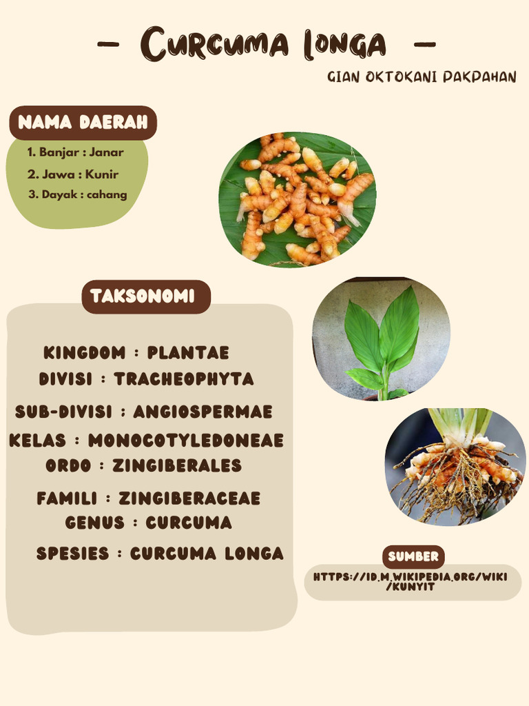 Poster Pendidikan Sains Adaptasi Dan Evolusi Ilustrasi Cokelat Krem ...