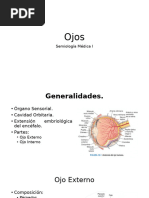 Guía de Exploración Oftalmológica | PDF | Ojo humano | Oftalmología