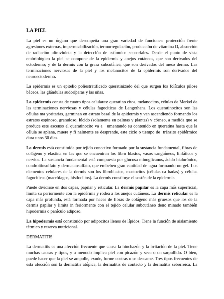 Piel Semio | PDF | Epidermis | Piel