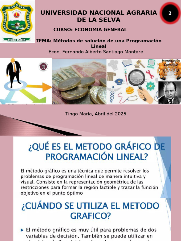 Métodos de Programación Lineal en Economía | PDF | Informática teórica ...