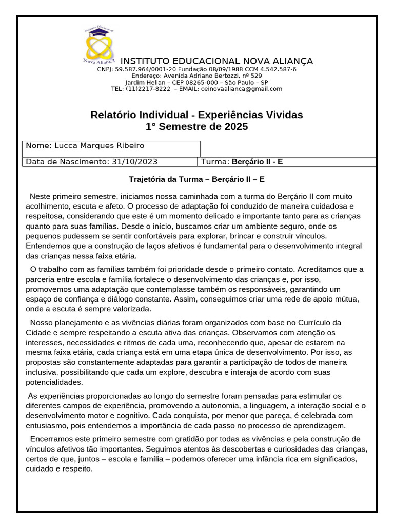 Relatório Individual LUCCA | PDF | Experiência | Aprendizado