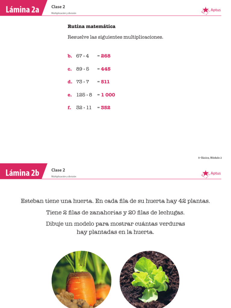 2024 5 Basico Matematica Modulo 2 Clase 2 Laminas | PDF