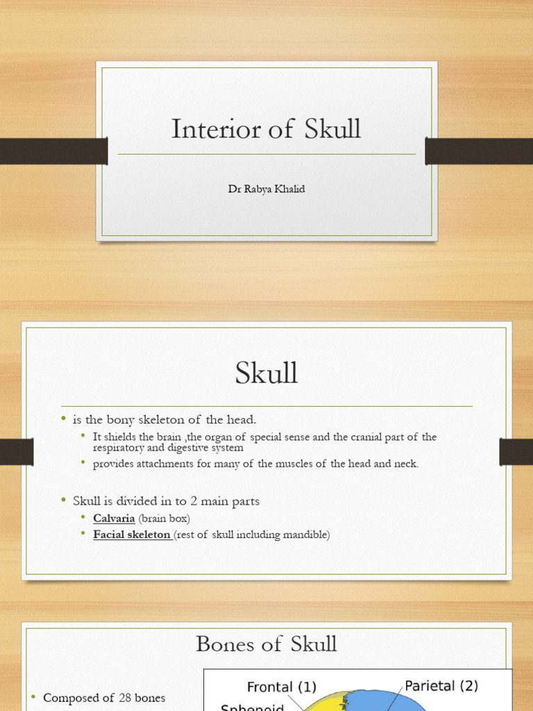 Anatomy of the Calvaria and Skull | PDF | Skull | Human Head And Neck