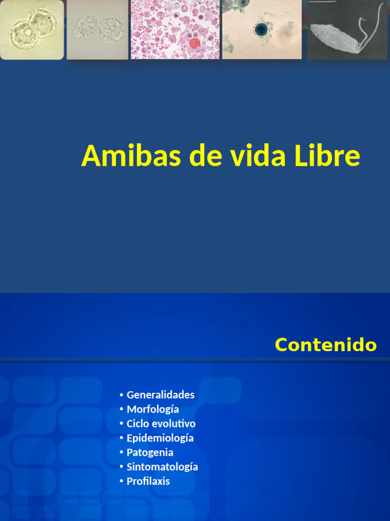 Clase 7 Amibas de Vida Libre | PDF