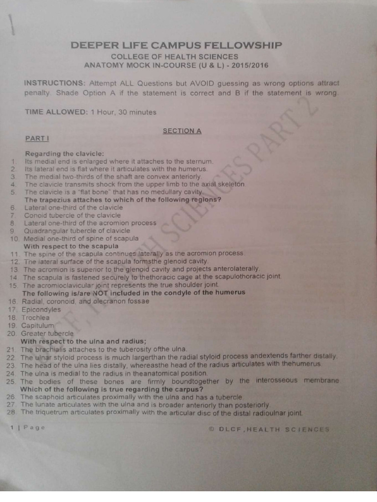 DLCF Anatomy For Upper | PDF