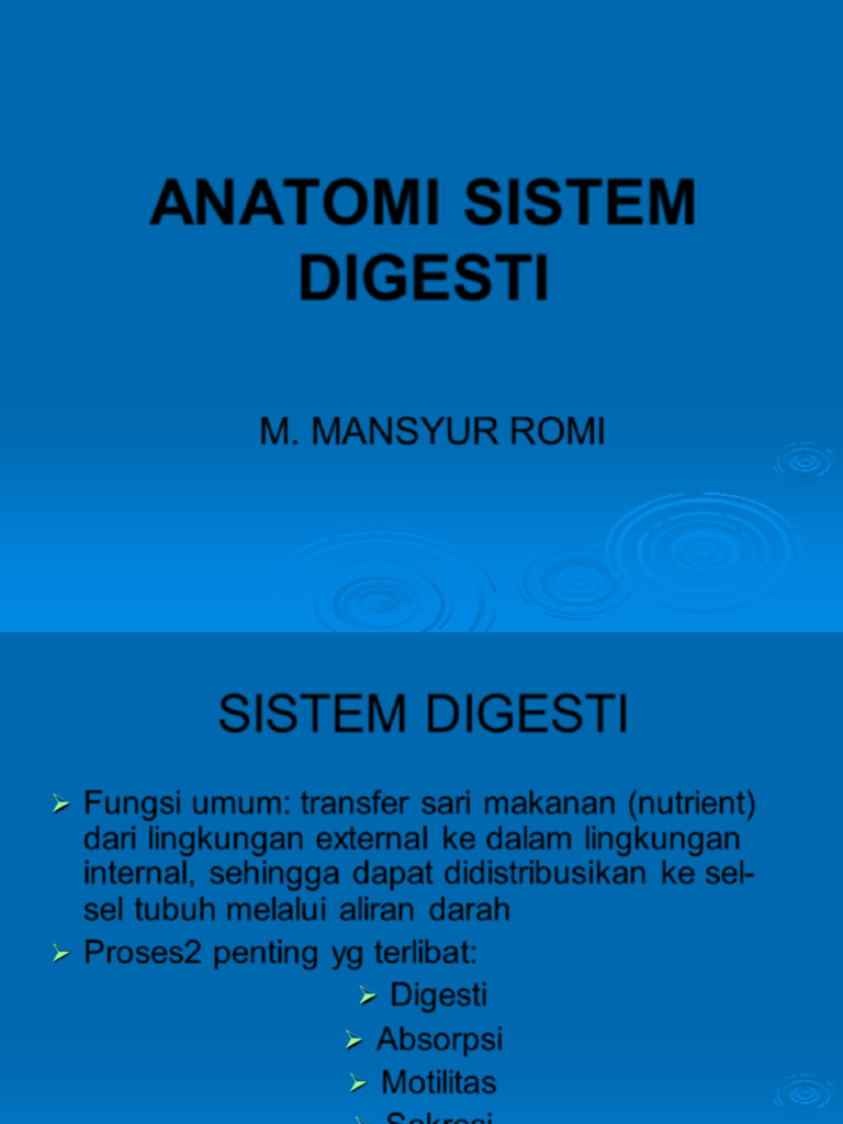 Anatomi Sistem Digestive | PDF | Liver | Pancreas