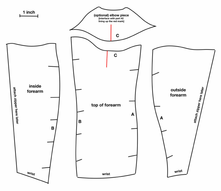 Forearm | PDF