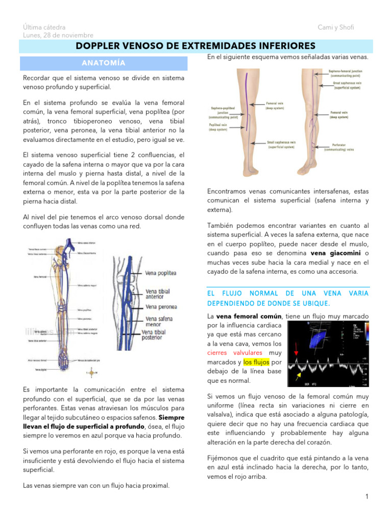 Clase 24. Doppler Venoso Extremidades Inferiores | PDF | Vena | Venas varicosas