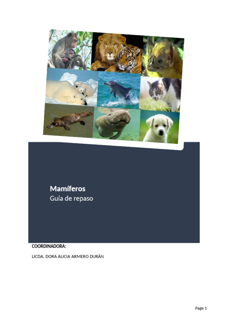 Guia de Trabajo - Unidad 8 Mamíferos | PDF | Mamíferos | Marsupiales