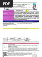 PROYECTO Las Plantas y La Primavera | PDF | Plantas