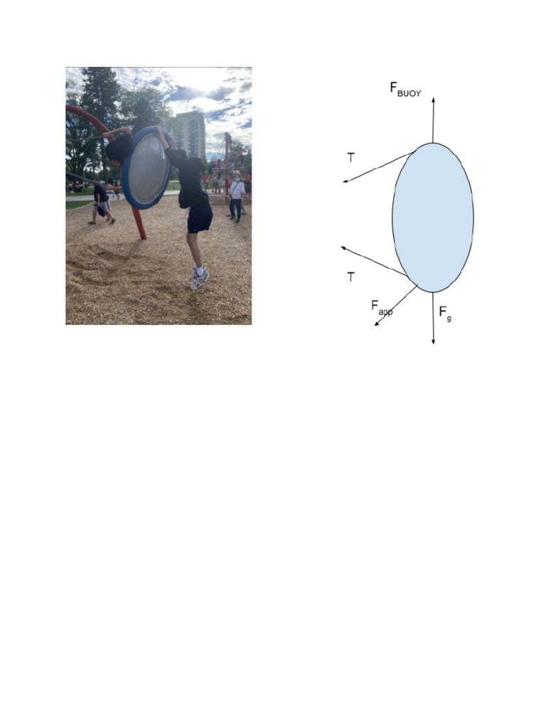 Physics Free Body Diagram | PDF