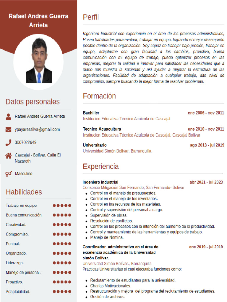 CV Rafael Guerra | PDF