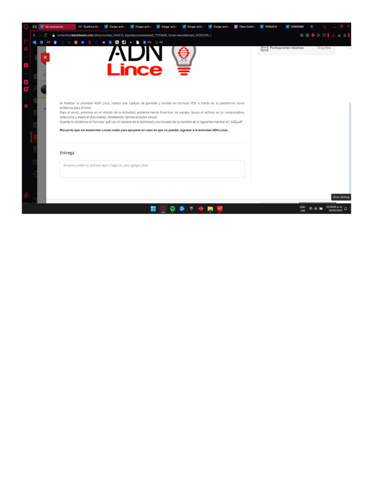 ADN Lince | PDF